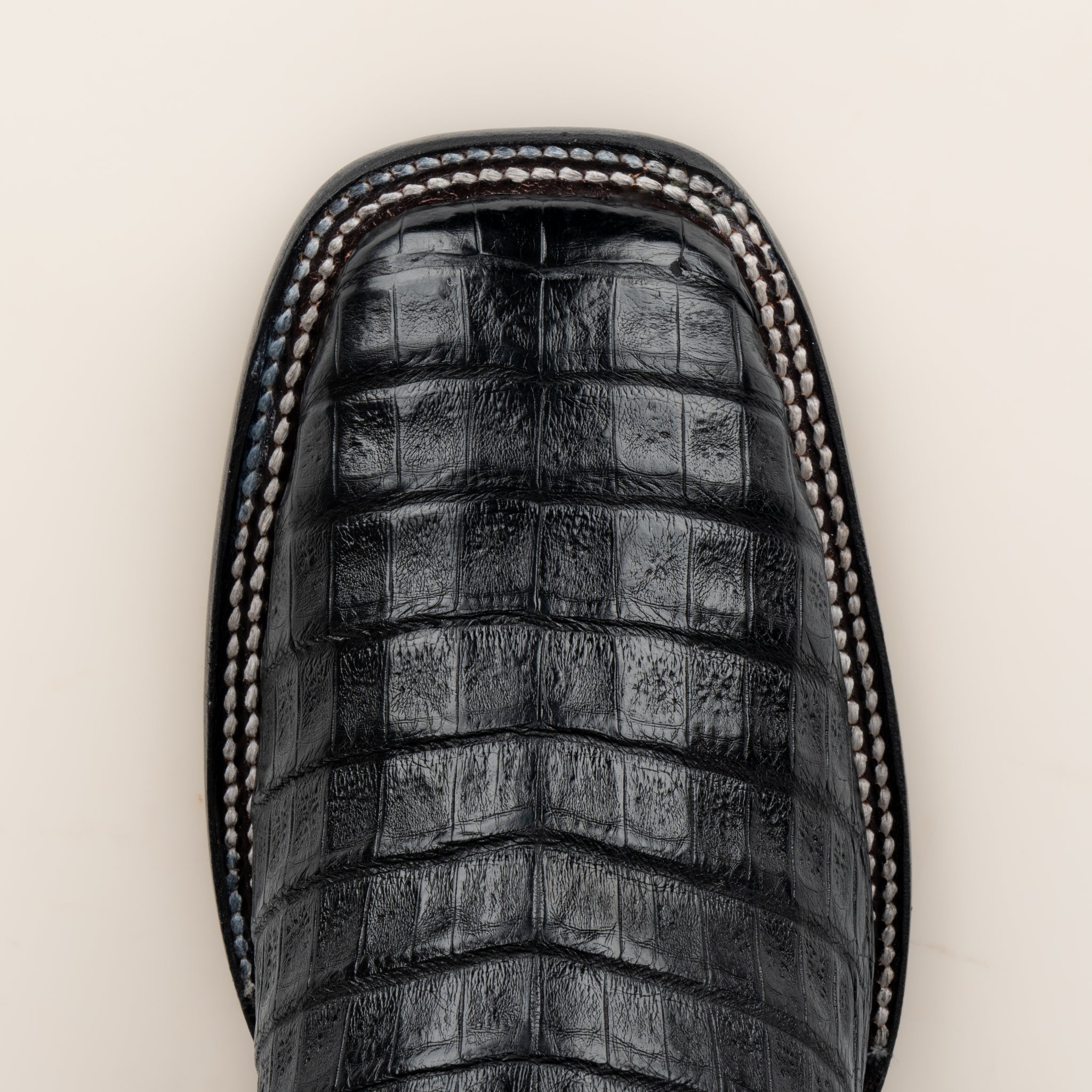 Bota Cuadra Fuscus Belly PL Negro Caballero – Botas Chicho